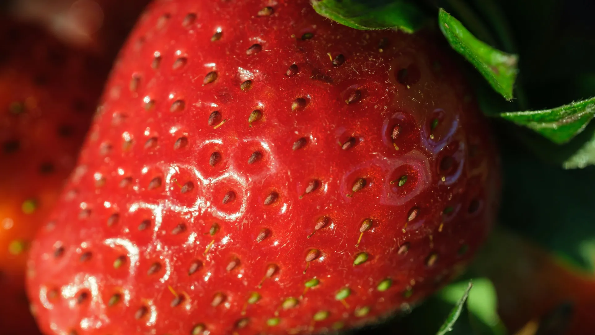 Scientists boost strawberry flavor and nutrition without changing ...