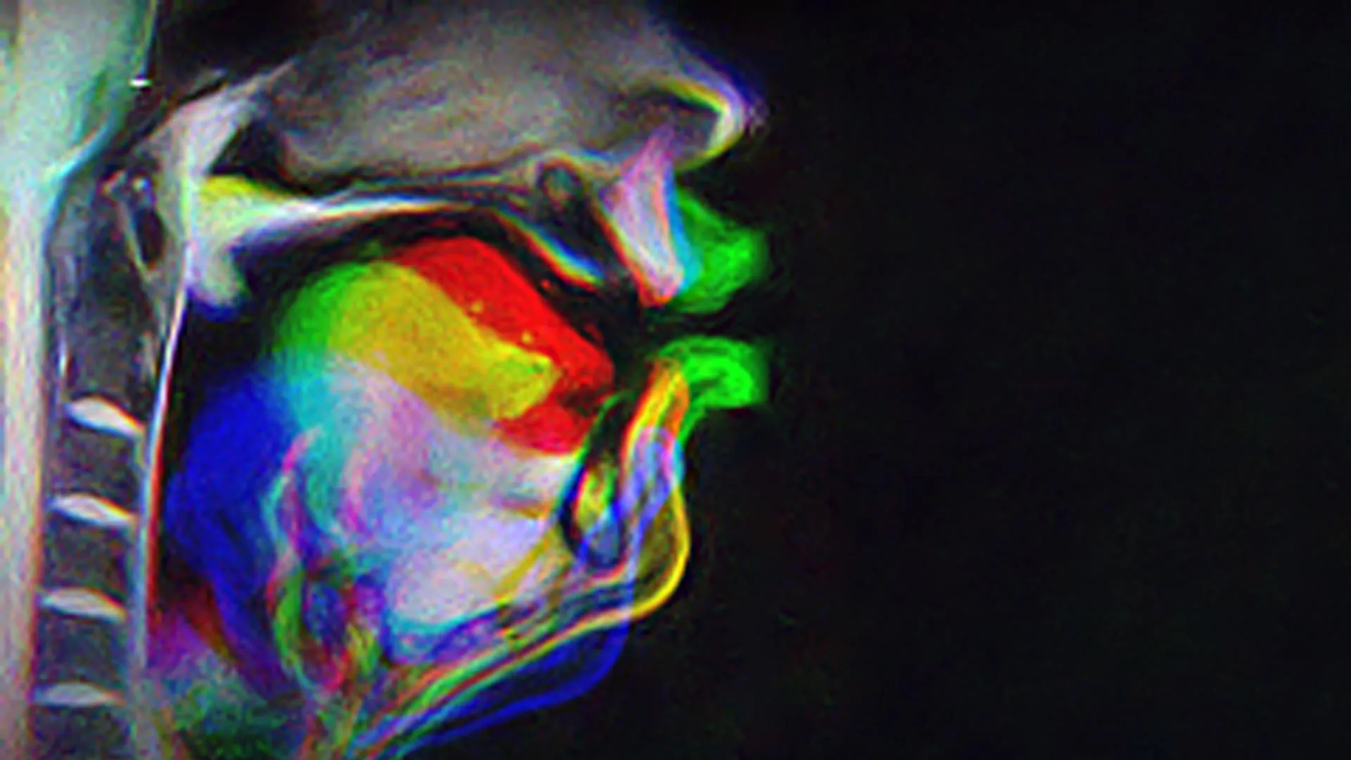 New brain study reveals speech learning works differently than we ...